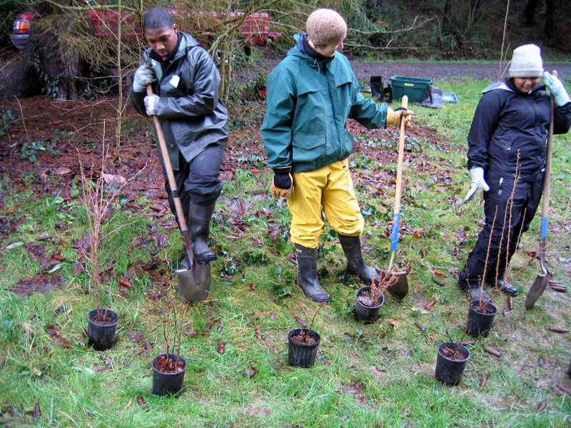 Research on Stewardship Benefits | Seattle Stewards